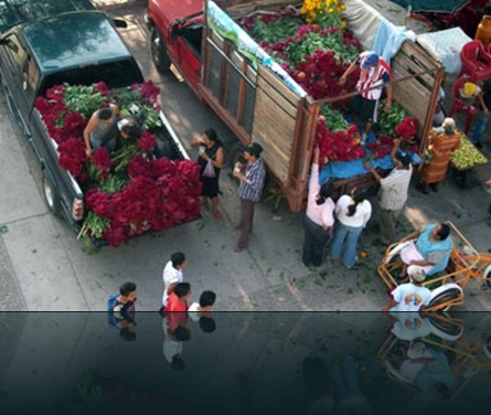 Celebran en Tlapehuala su tradicional Día de Muertos ~ Tierra Caliente ...